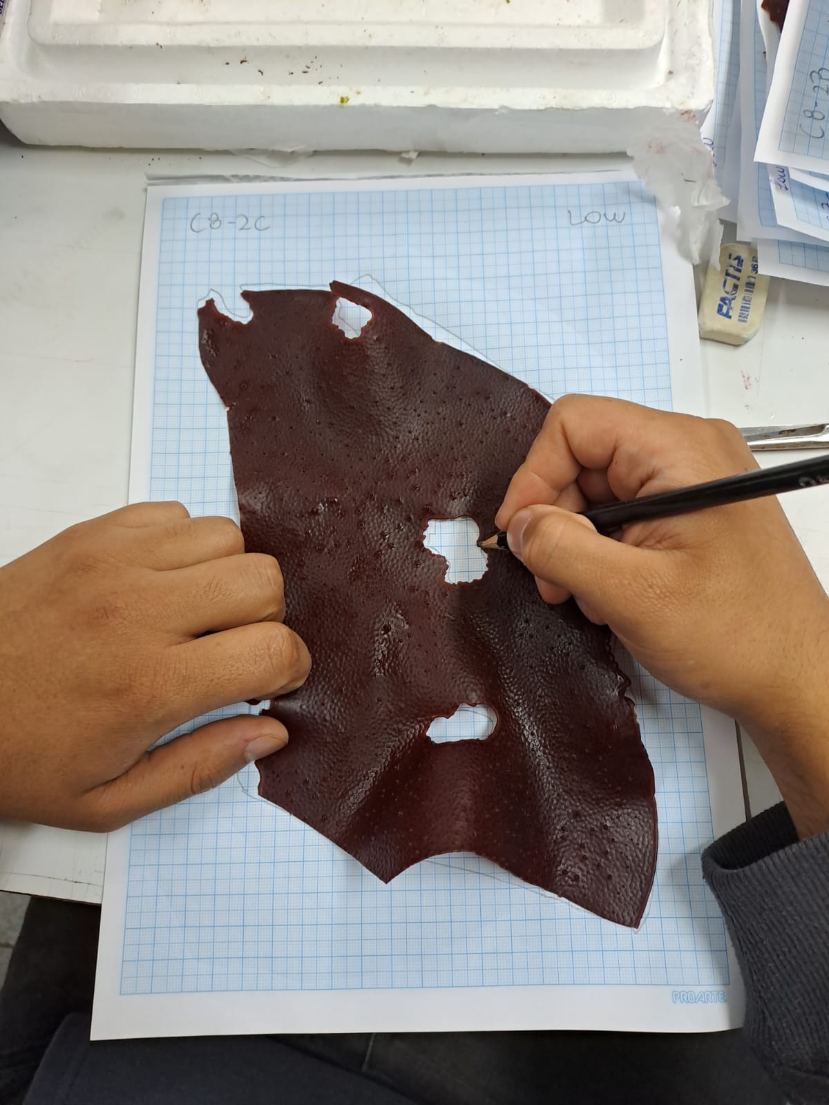 Magíster en Nutricion Acuícola